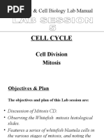 Mitosis Mover Webquest Bioman PDF | PDF | Mitosis | Chromosome