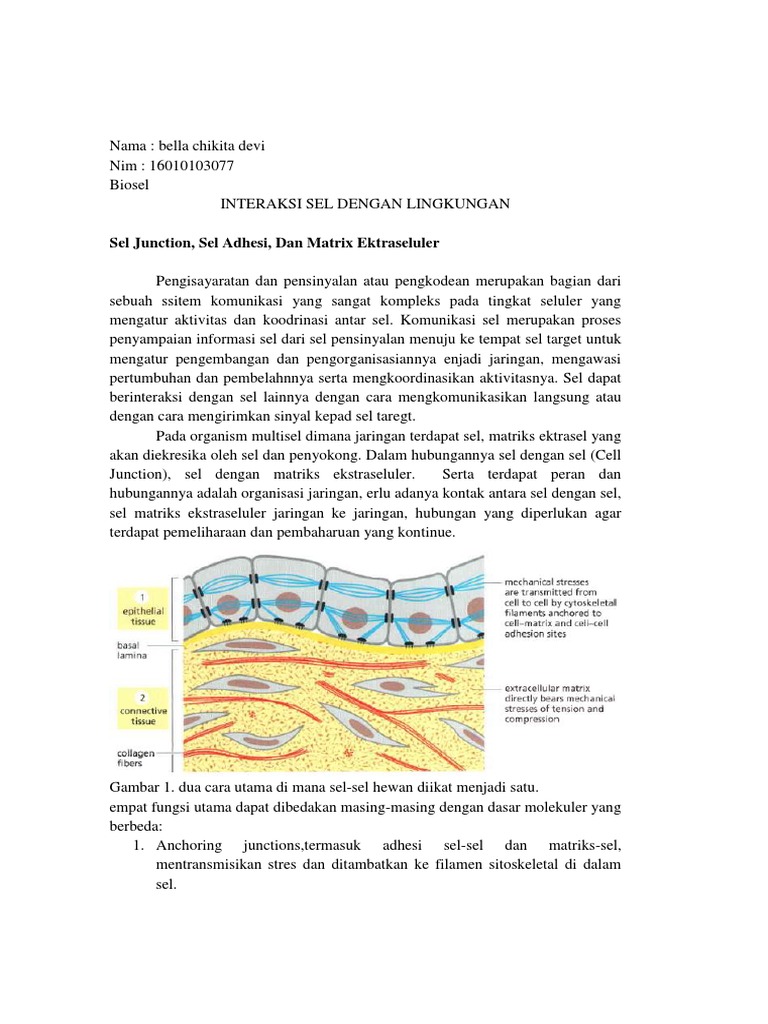 Interaksi Sel Denga Lingkungan | PDF | Pengembangan Diri | Kesehatan Holistik
