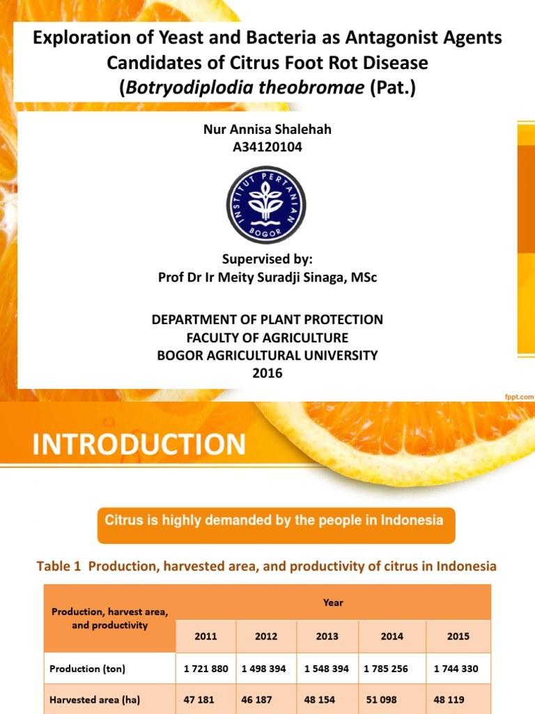Yeast and Bacteria Against Citrus Foot Rot | PDF | Growth Medium | Bacteria