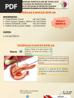 Anatomia Del Pancreas | PDF | Páncreas | Digestión