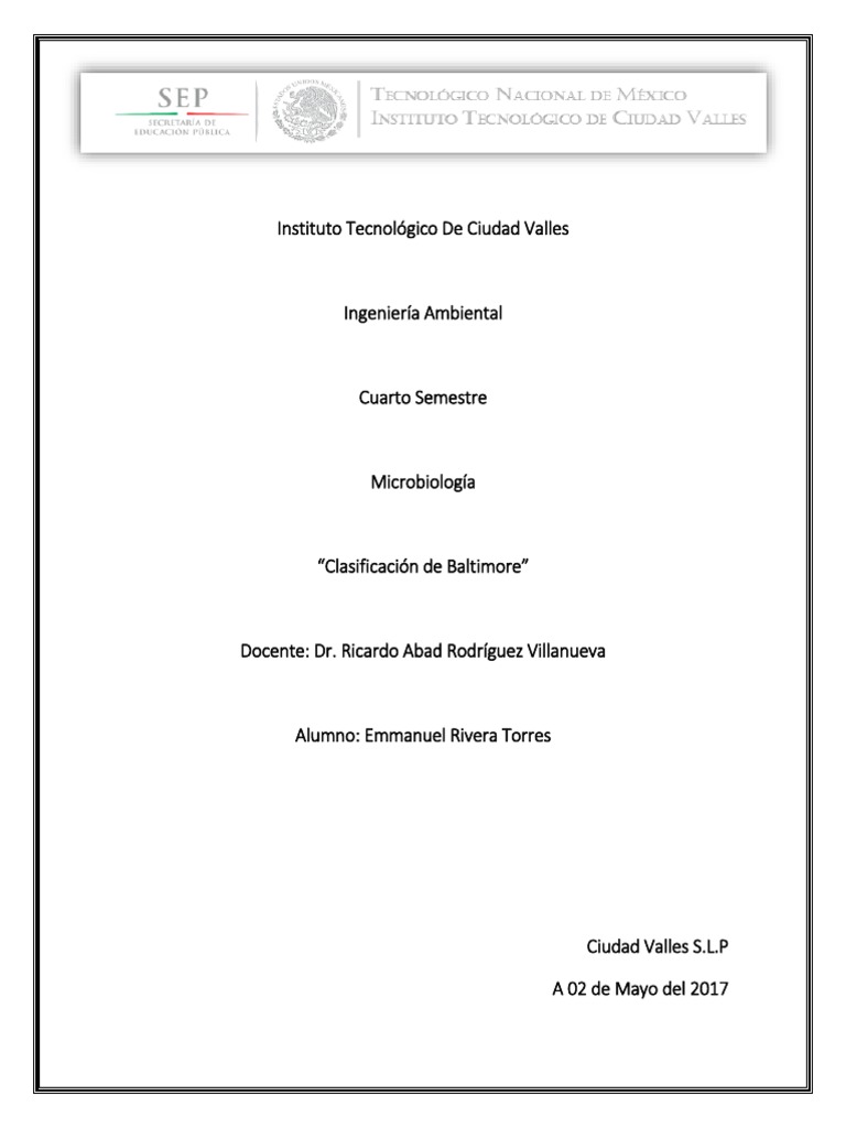 Clasificación de Virus por Baltimore | PDF | La transcriptasa inversa ...