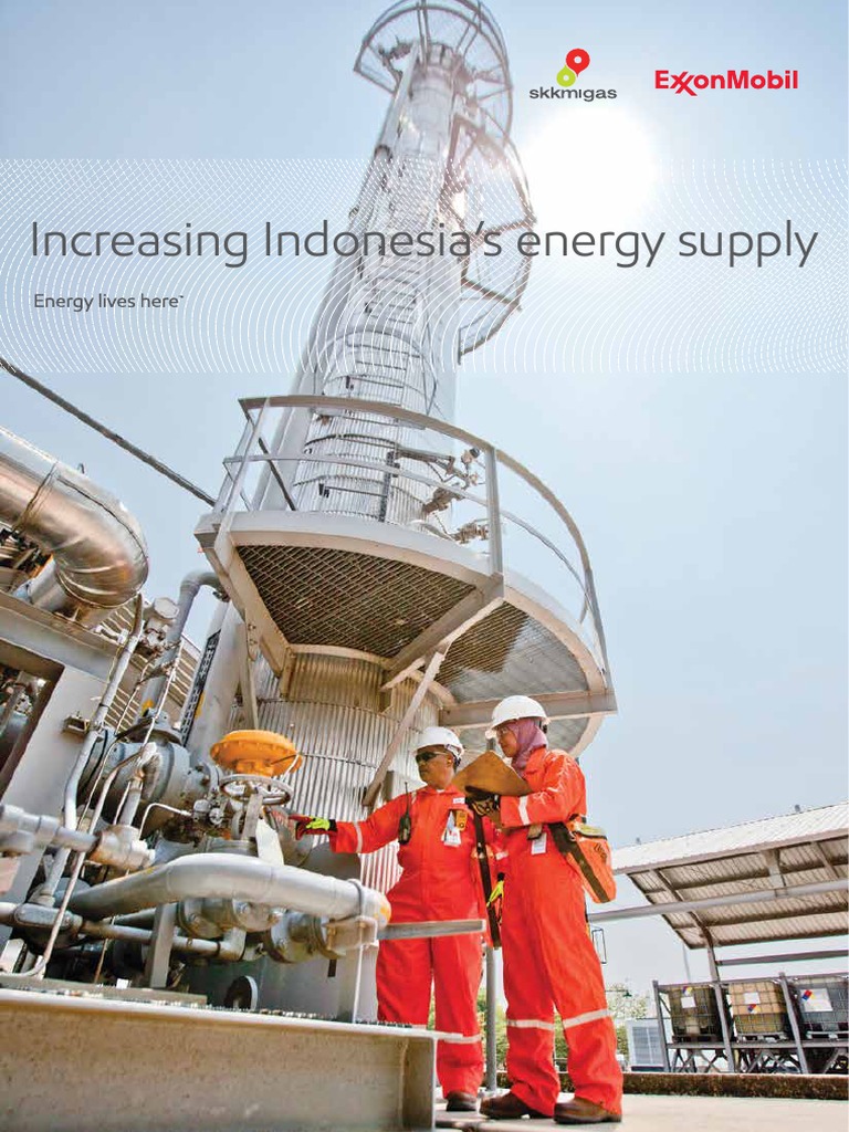 Maximizing Energy Supply Through Strategic Exploration, Development and ...