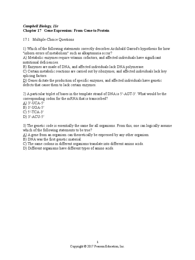 Chapter 17 Gene Expression From Gene To Protein | PDF | Translation ...