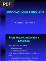 Organisational Structure | PDF | Pepsi Co | Organizational Structure