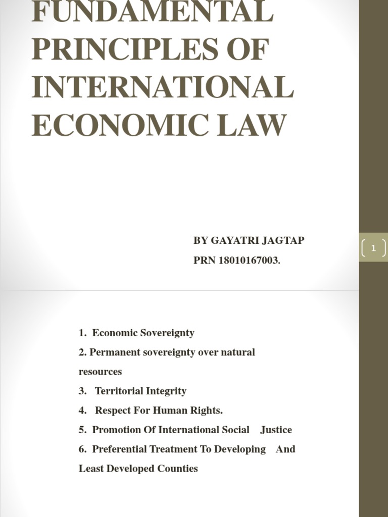 Fundamental Principles of International Economic Law | PDF ...