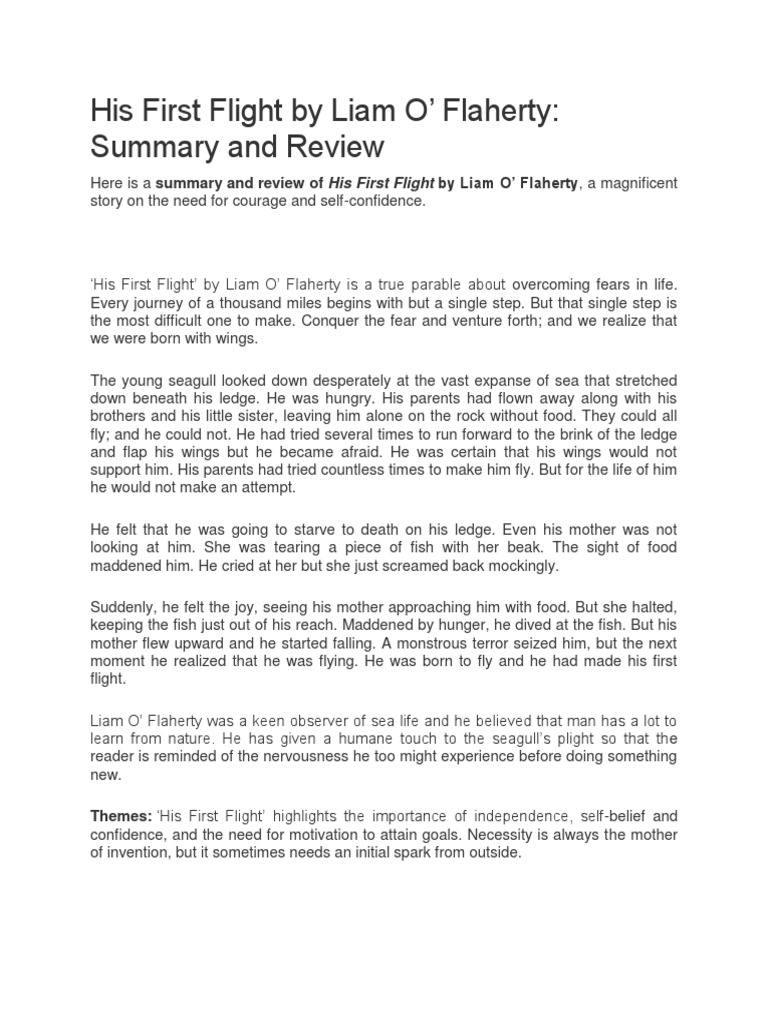 His First Flight by Liam O | PDF