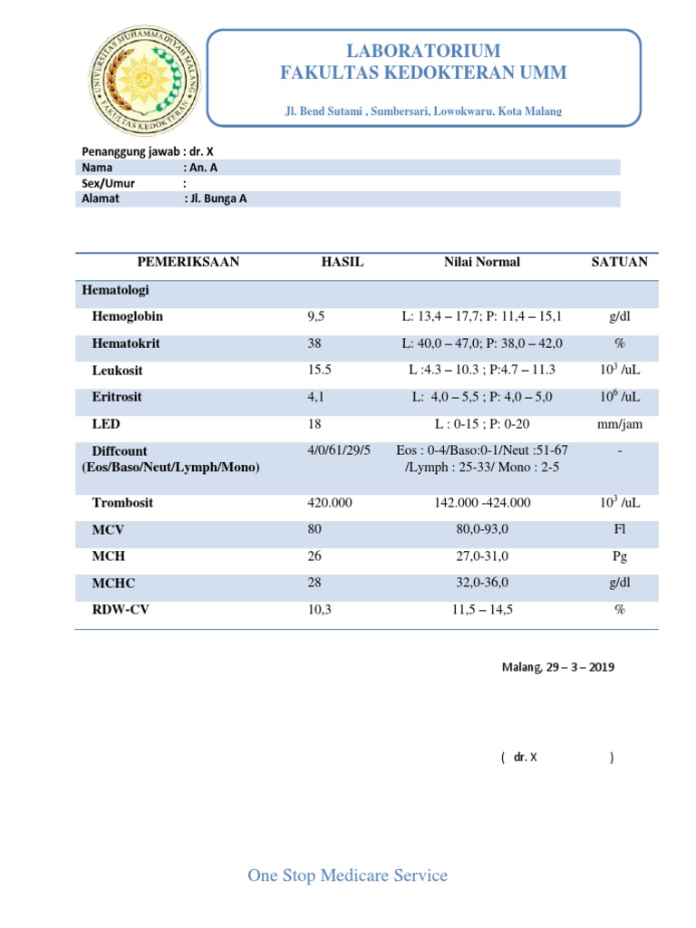 Template Hasil Lab | PDF