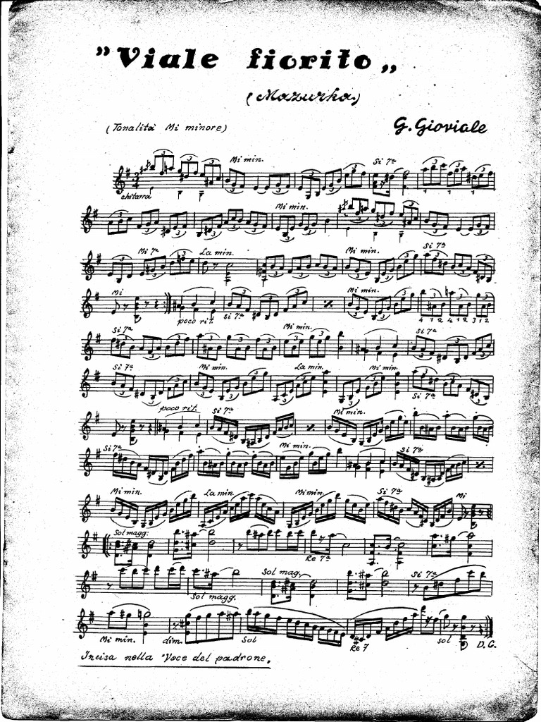 Viale Fiorito PDF | PDF