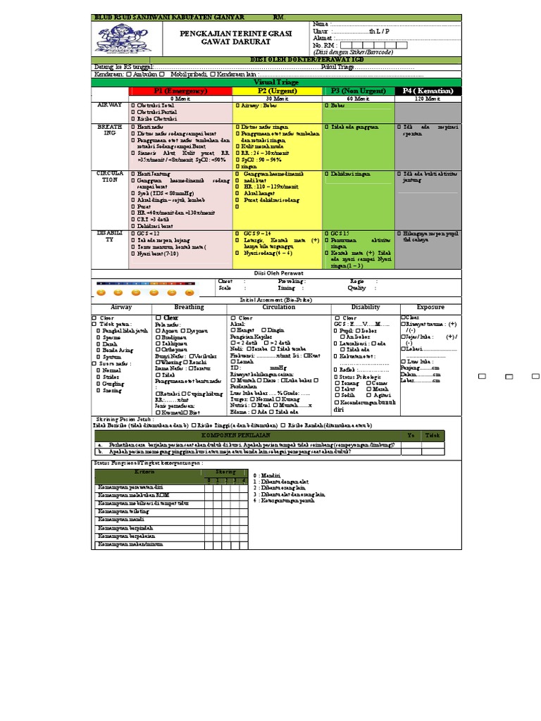 2 Dan 16 Form Triage IGD | PDF