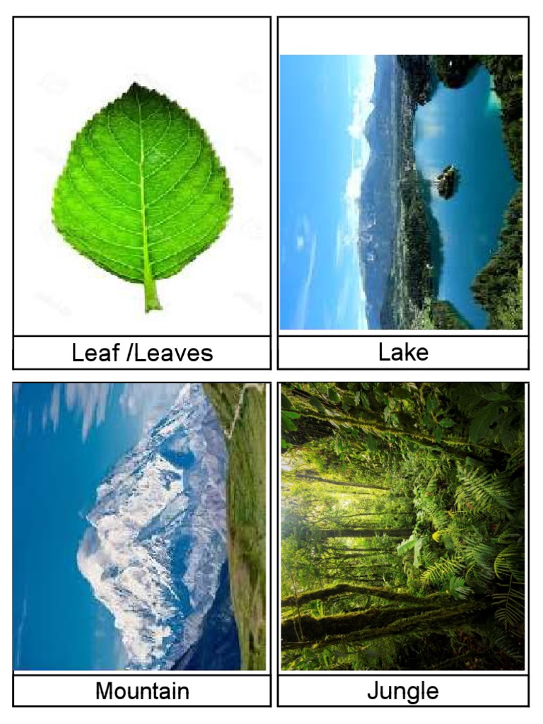 Around The World Flash Card 3 | PDF