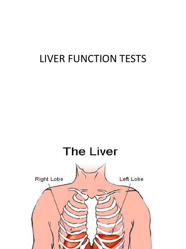 Interpretation and Clinical Significance of Liver Function Tests | PDF ...