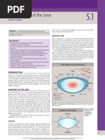 Anatomy and Functions of the Eye Lens | PDF | Cataract | Eye