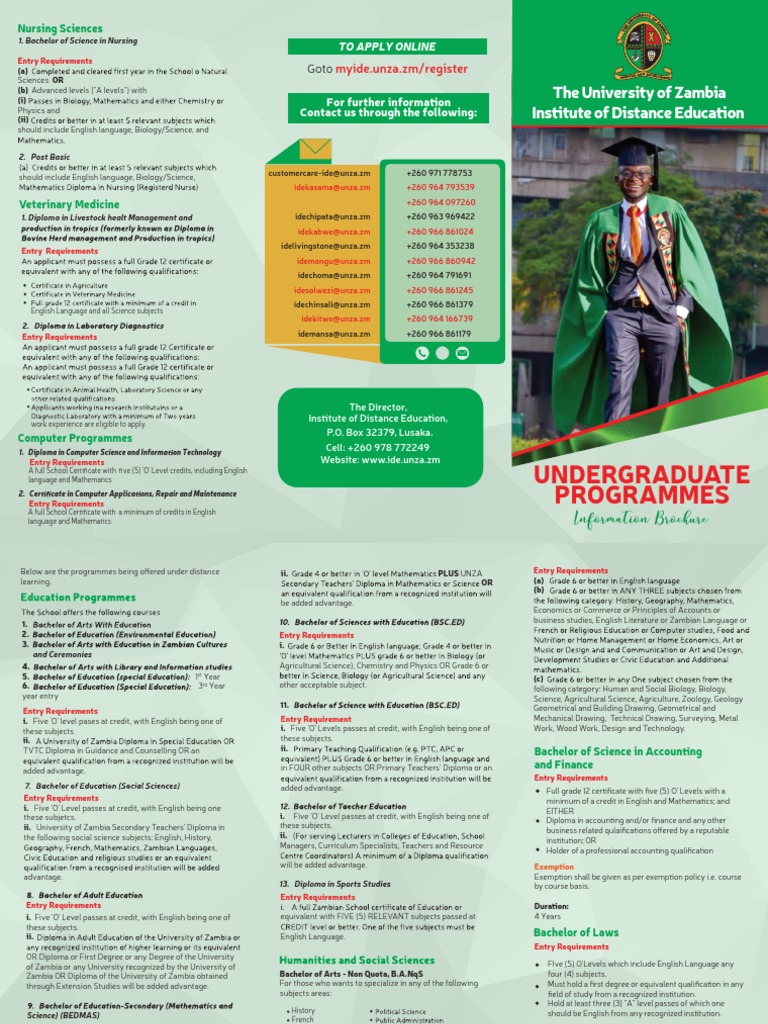 Undergraduate Brochure 1 | Bachelor's Degree | Diploma