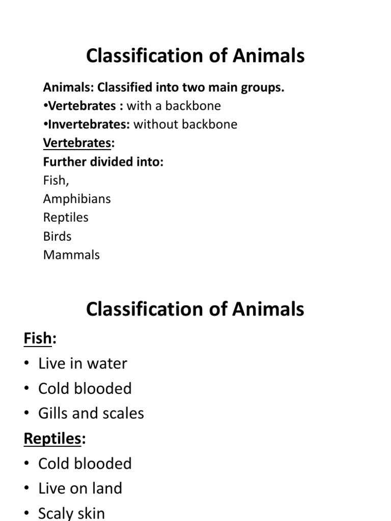 Animal and Plant Classification | PDF | Plants | Leaf