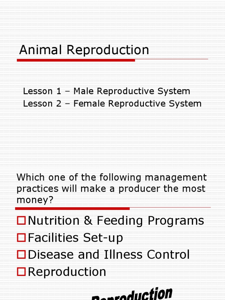 and 2. Lesson 1 and 2 Male and Female Reproductive Systems | PDF ...