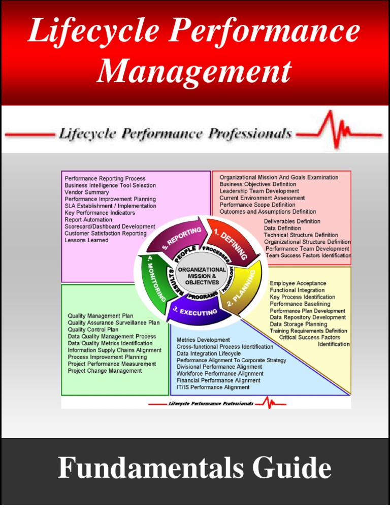 Performance Management Fundamentals | PDF | Business Process | Data Quality