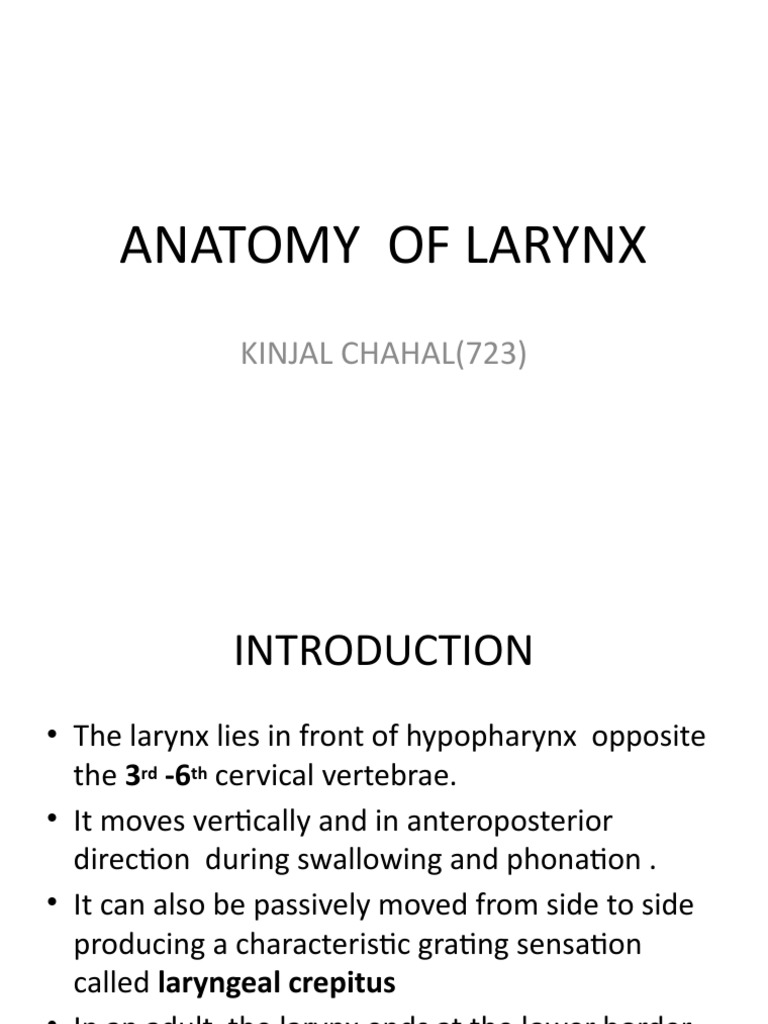Anatomy of Laryngeal Cartilages | PDF | Larynx | Common Carotid Artery