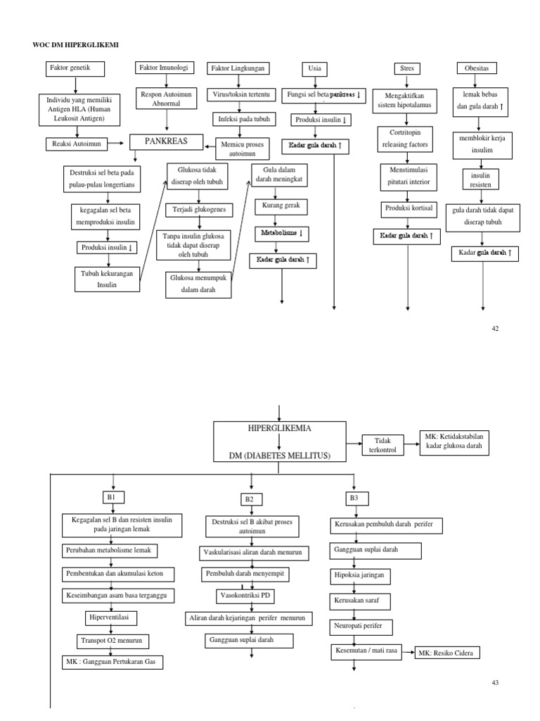 Woc DM Hiperglikemi | PDF