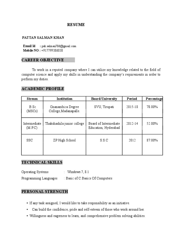 Resume: Pattan Salman Khan | PDF