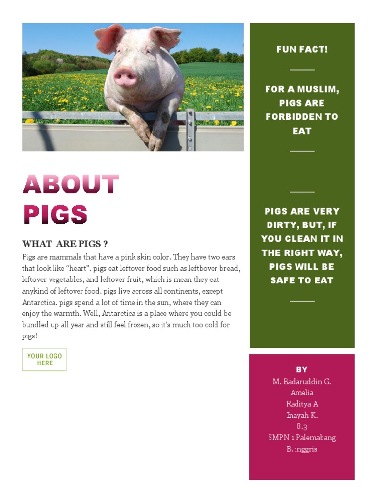 Understanding Pigs: Characteristics and Diet | PDF