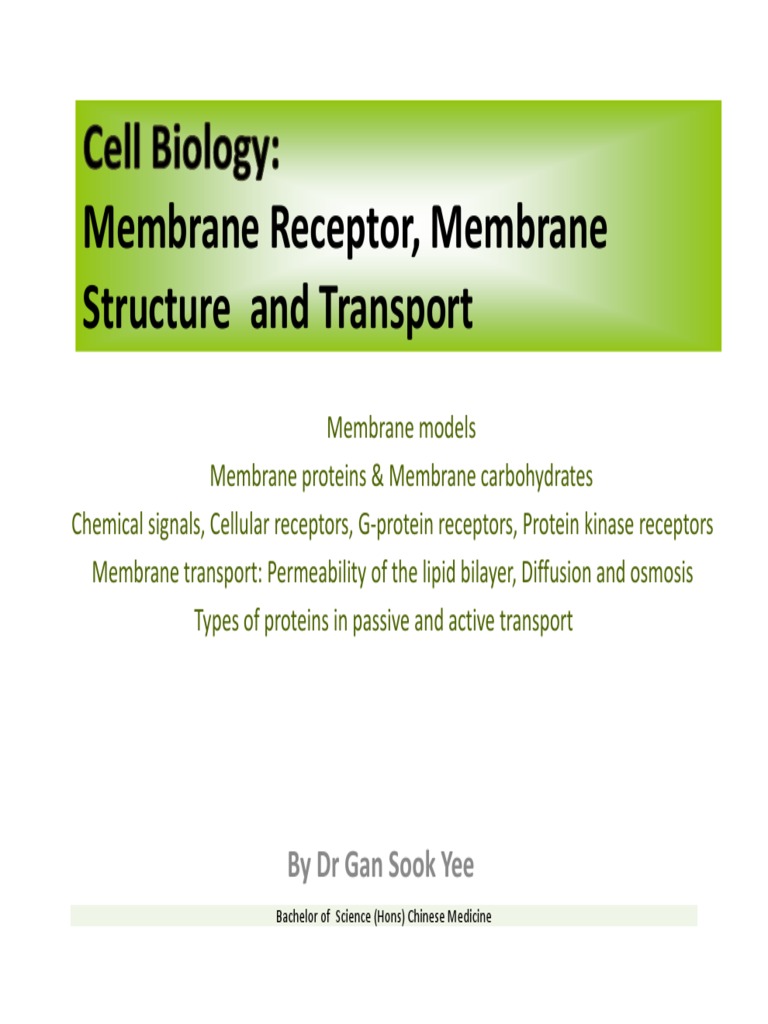 Membrane Receptor Membrane Structure and Transport | PDF | Cell ...