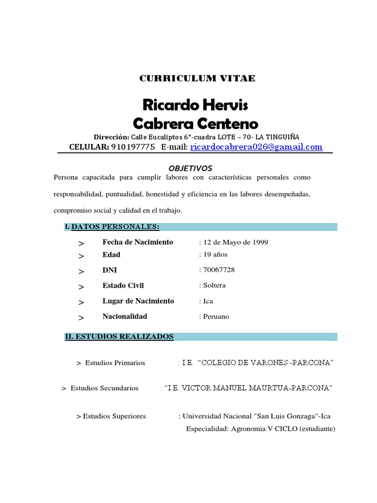 Ricardo CV | PDF