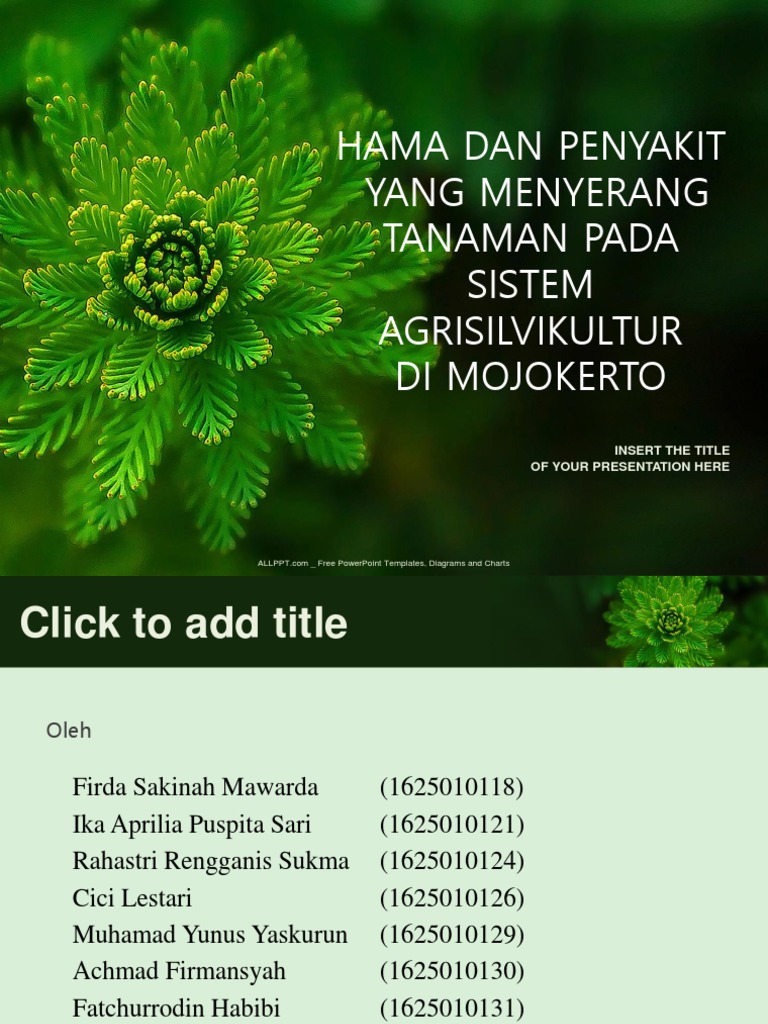 Hama dan Penyakit Tanaman Agrisilvikultur | PDF