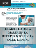 Modelo de la Marea de Phil Barker | PDF | Enfermería | Salud mental