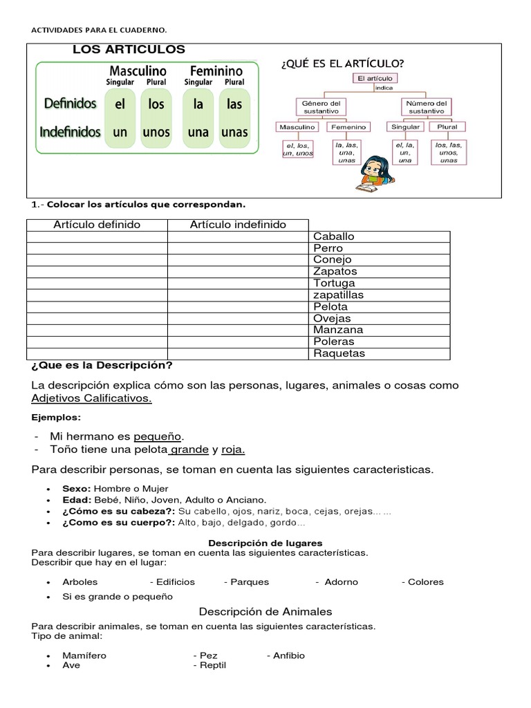 Actividad Lenguaje Articulos | PDF