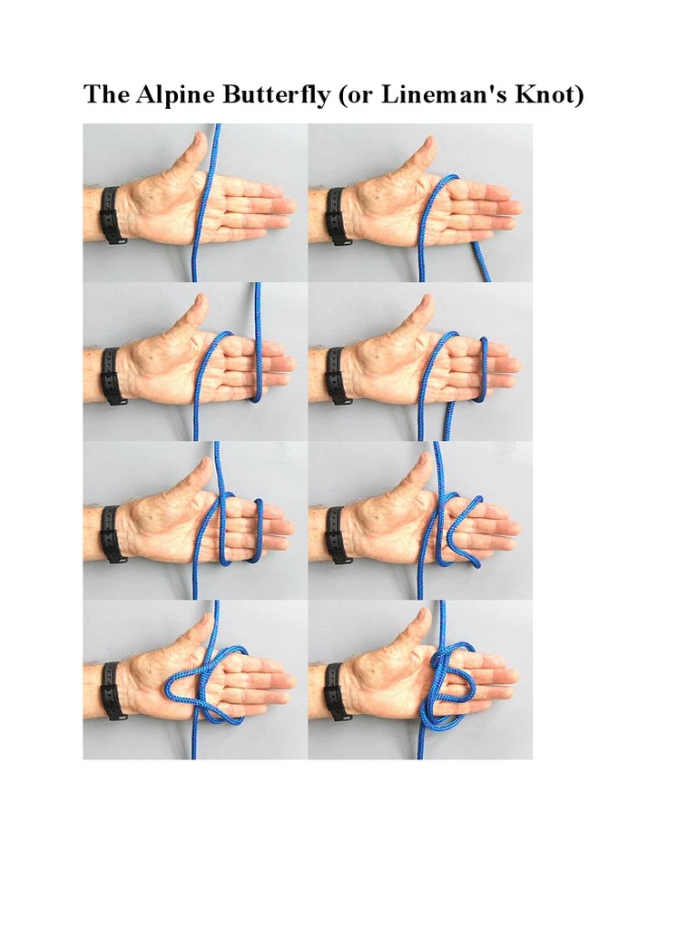 Knot Tying for Outdoor Enthusiasts | PDF