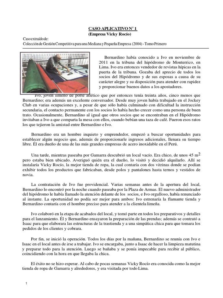 Caso N 1 Vicki Rocio | PDF | Lima | Economias