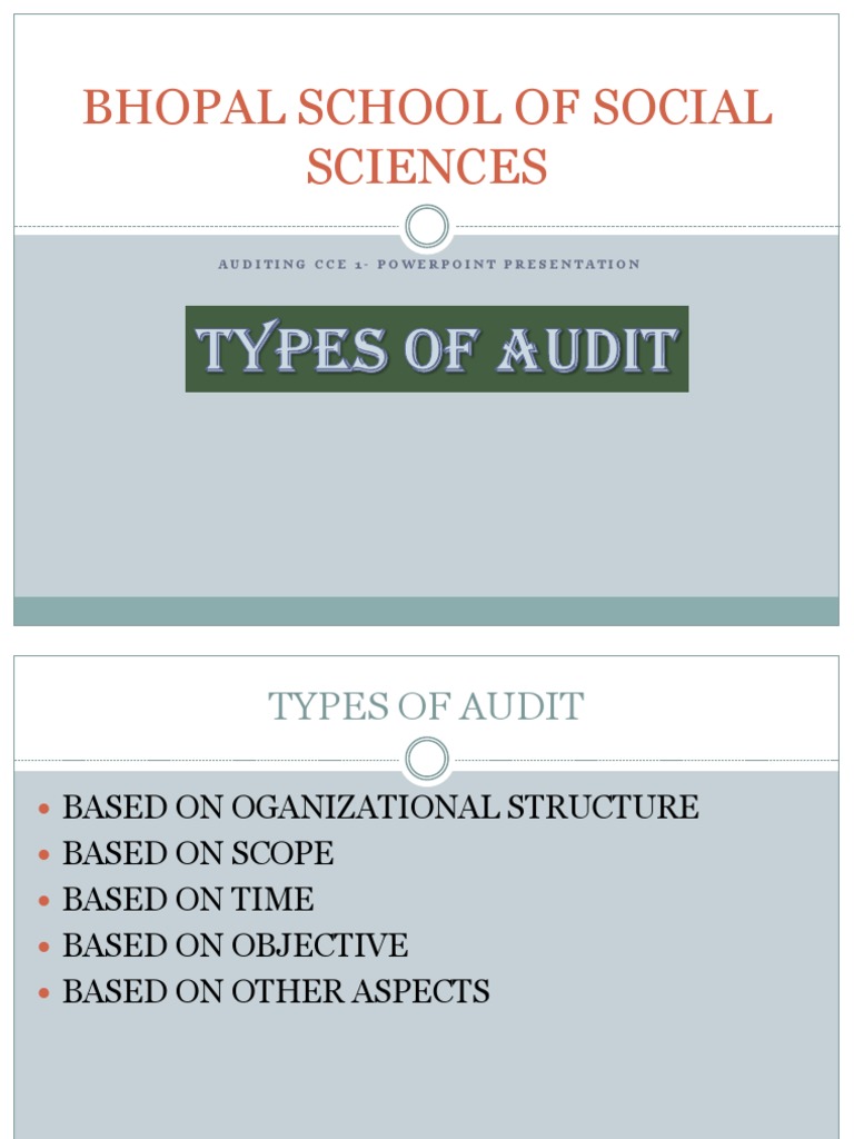 An Overview of Audit Types: A Classification Based on Organizational ...