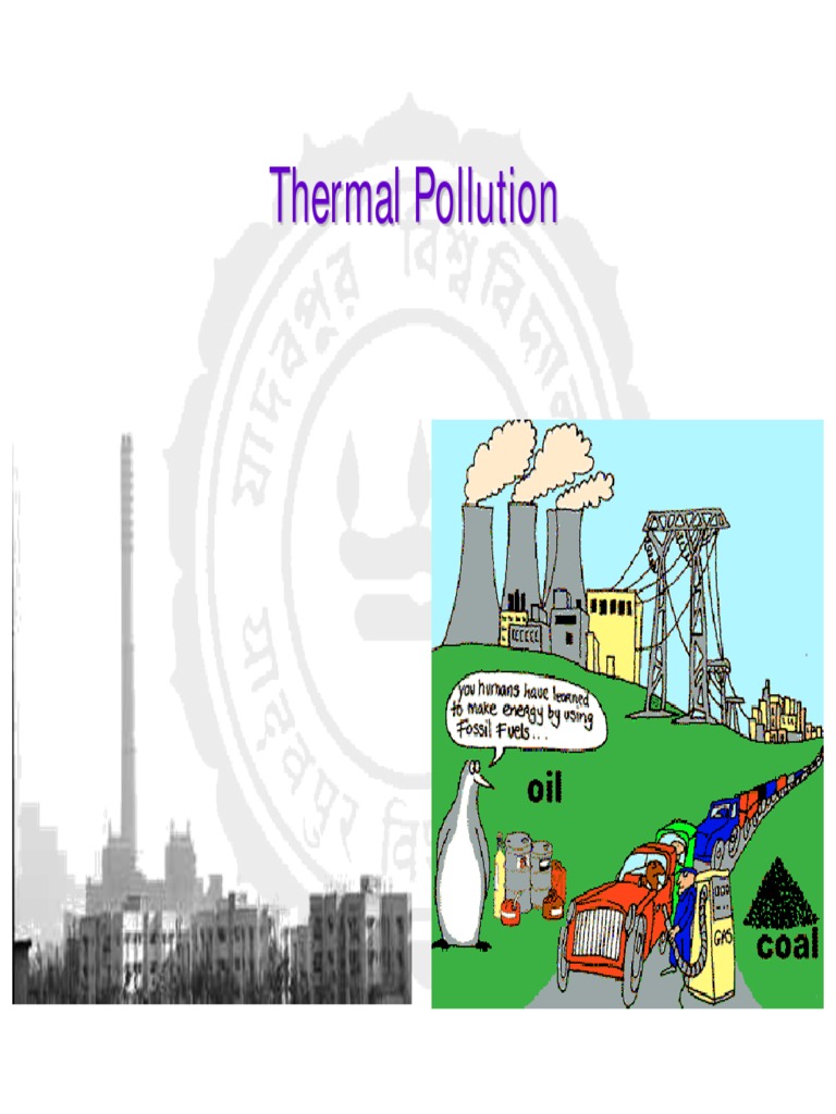 Understanding Thermal Pollution Effects | PDF | Water Pollution | Water
