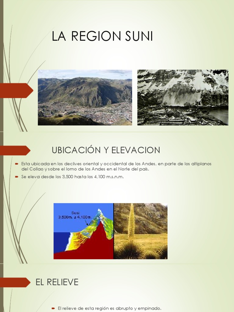 La Region Suni 1 | PDF | Andes | Geografía