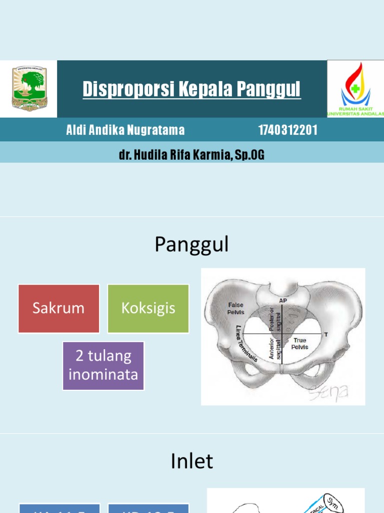 PALS Cardiac Arrest Algorithm 2018 | PDF