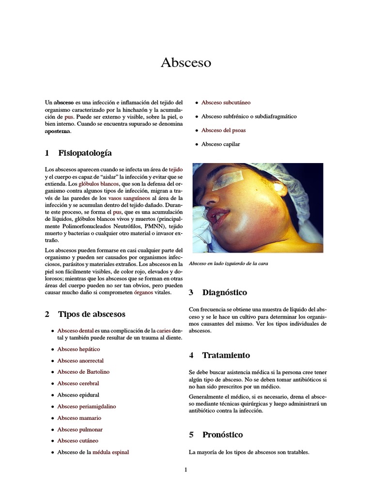Tipos y Tratamiento de Abscesos | PDF | Enfermedades y trastornos ...