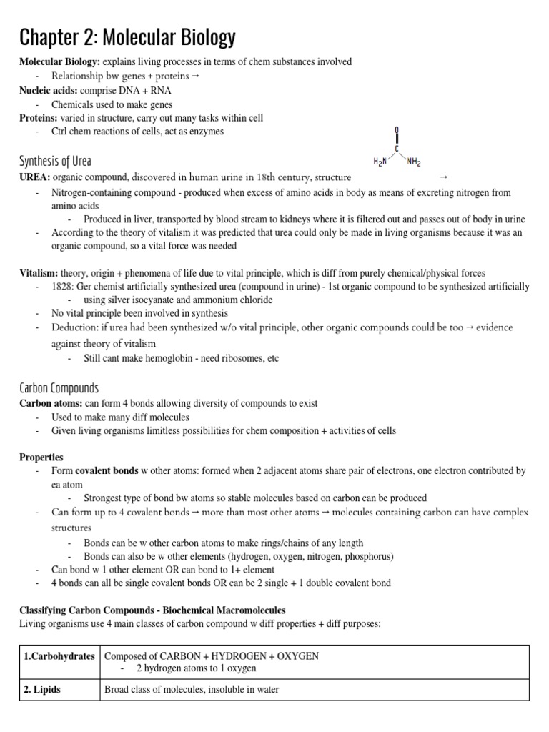 Chapter 2: Molecular Biology: Synthesis of Urea | PDF | Cellular ...