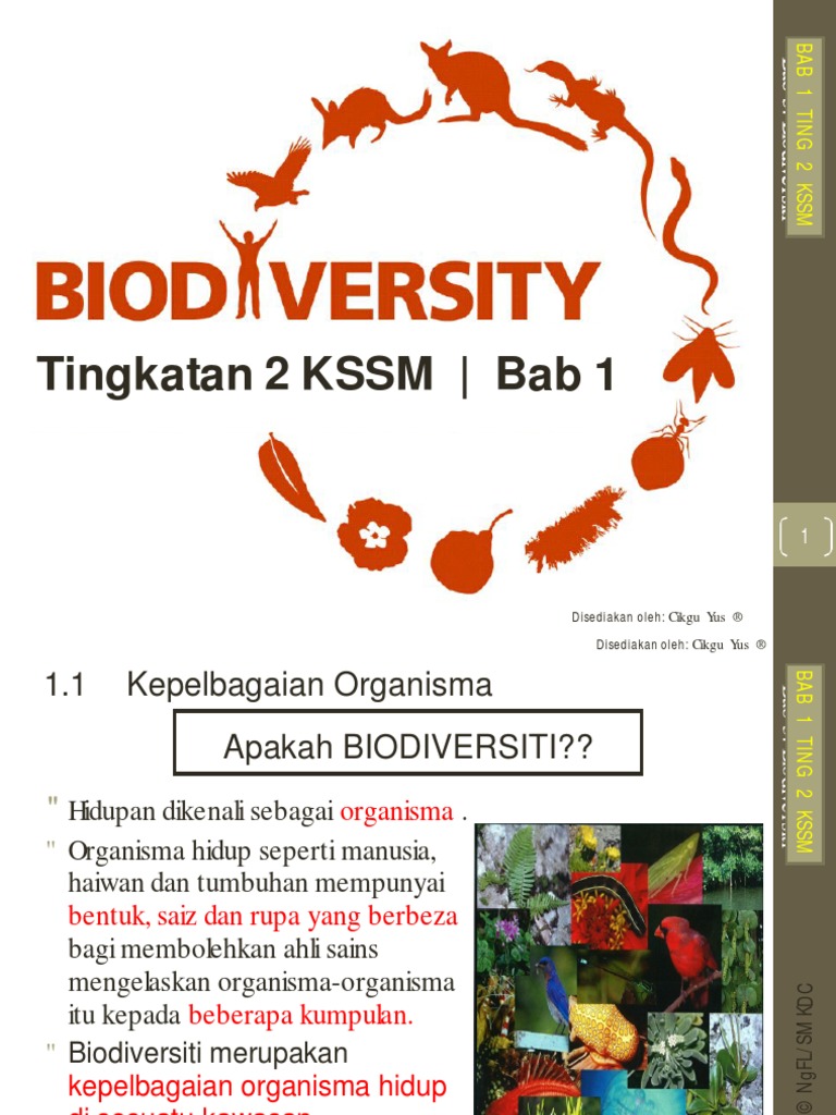 Bab 1 Biodiversiti Bm Pdf Pdf