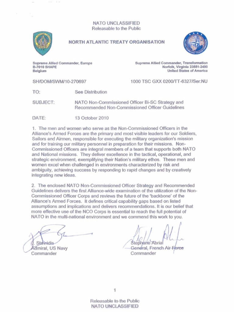 NATO NCO Bi-SC Strategy and Recommended NCO Guidelines | PDF | Non ...