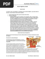 Ganglio Geniculado | PDF | Anatomia animal | Cabeza y cuello humanos