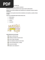 Linea de Fulcrum | PDF