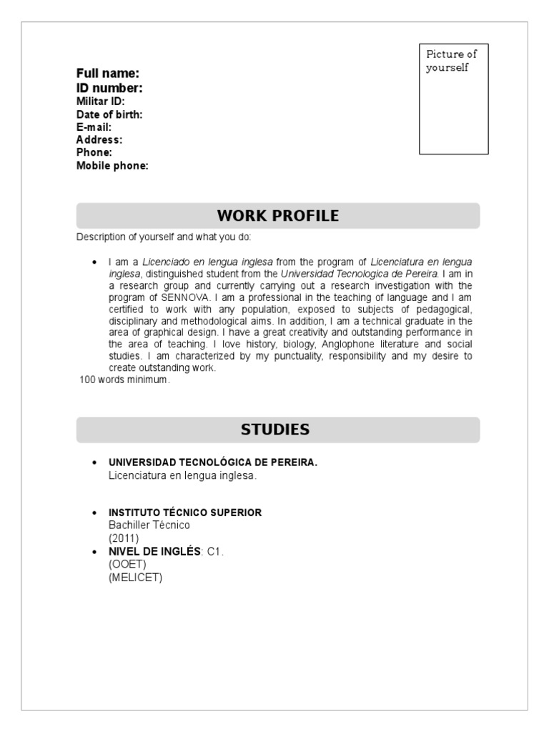 CV with ID and Professional Profile | PDF
