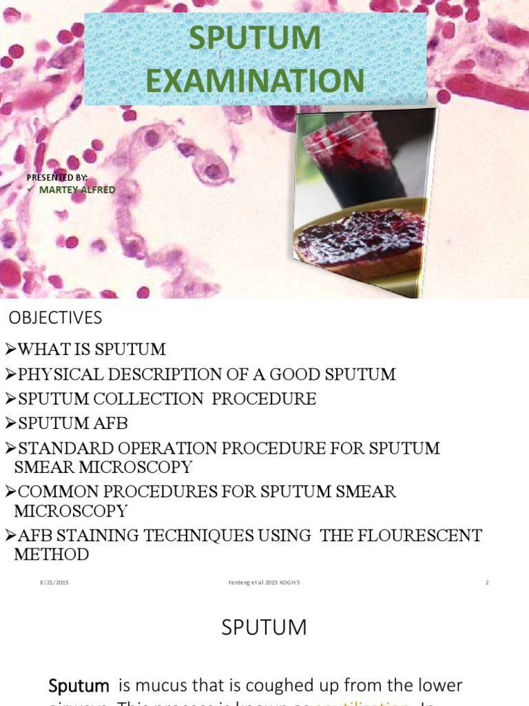 Sputum Examination: Martey Alfred | PDF | Microbiology | Respiratory System