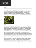 Ergi+Alfheimr+Guide | PDF