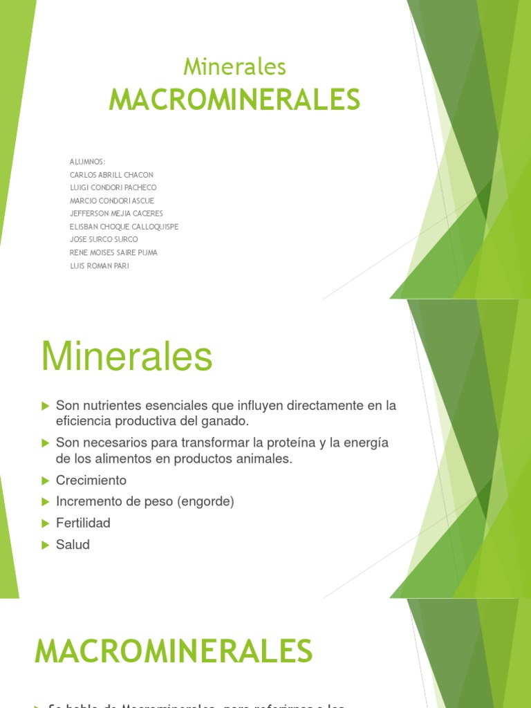 Macrominerales EXPO | PDF | Potasio | Dieta y nutrición