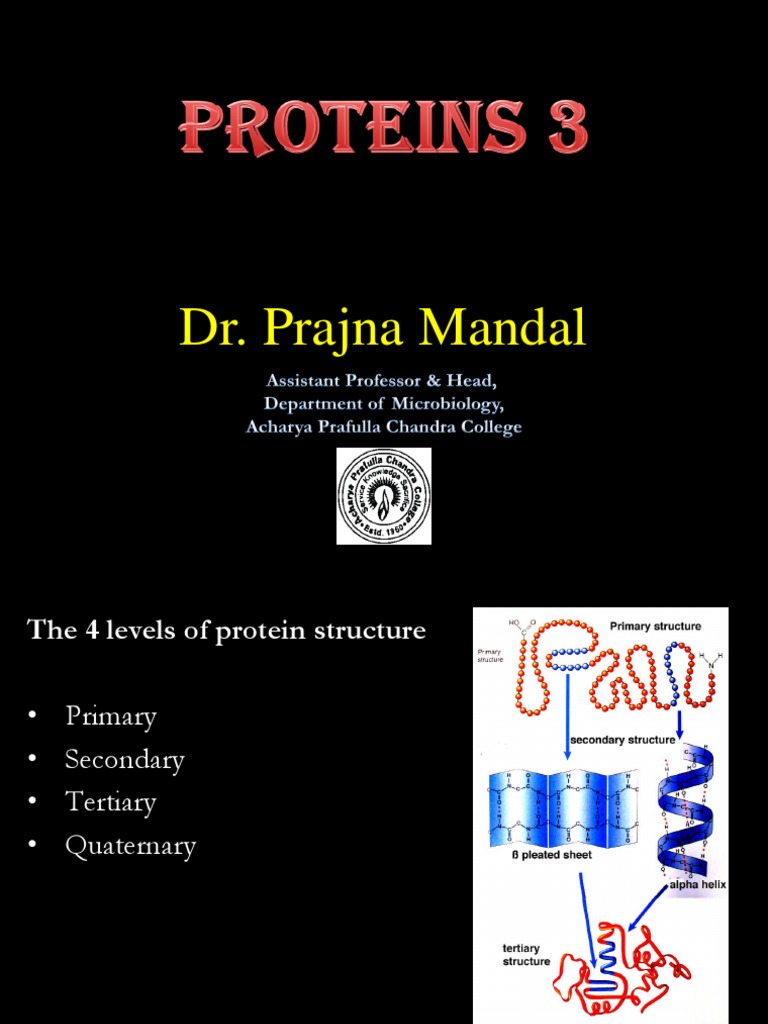 Proteins 3A | PDF | Protein Domain | Protein Structure
