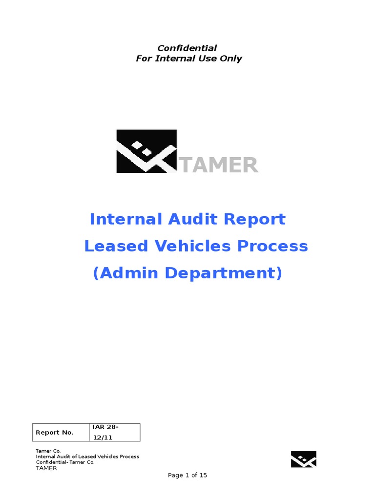 BCG Matrix BMW | PDF | Internal Audit | Audit