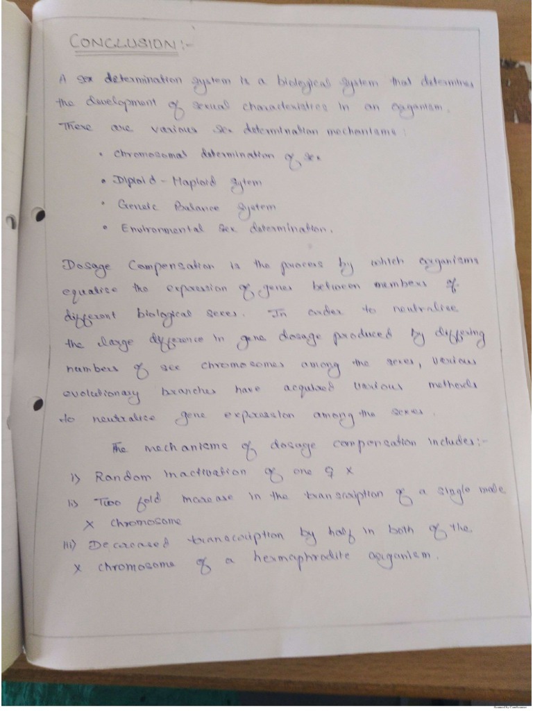 Dosage Compensation | PDF