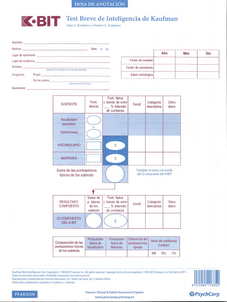 Hoja de Resultados KBIT | PDF