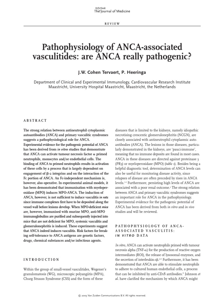 Pathophysiology of ANCA-associated Vasculitides: Are ANCA Really ...